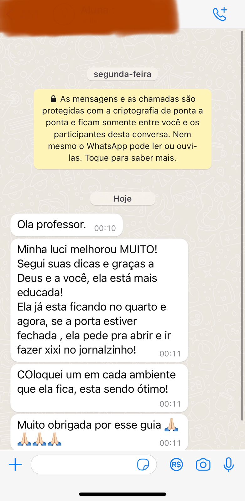 Mundo Pets – Produtos Digitais
